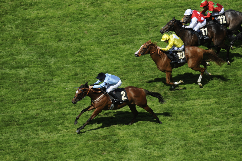 Sunday ITV4 Racing Tips and Preview by Dave Stevos - txmarkets.com