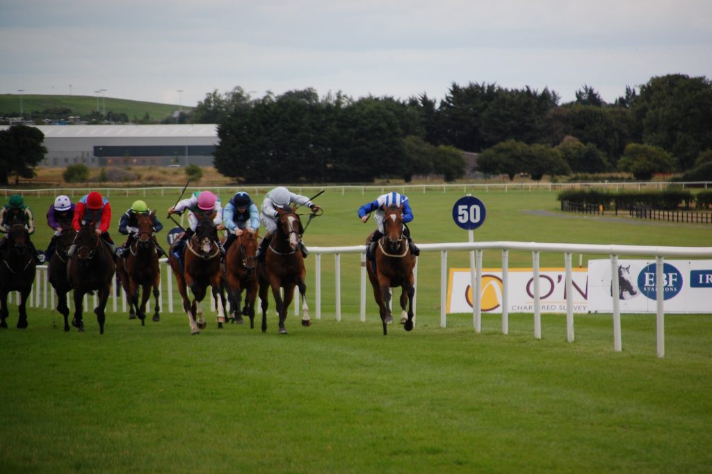 2025 Newmarket & York Saturday Tips - DS - txmarkets.com