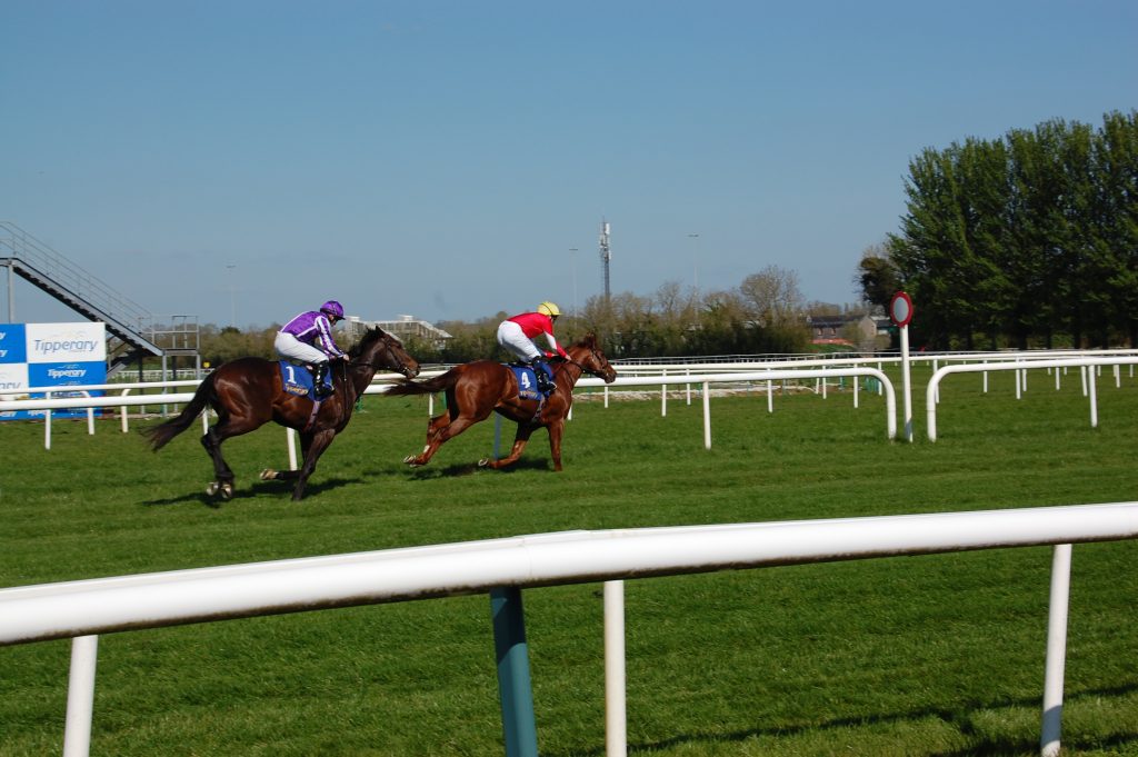 2023 Epsom Derby Runner by Runner Guide - DS - txmarkets.com